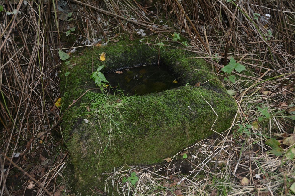 Witchcraig – Bathgate Hills